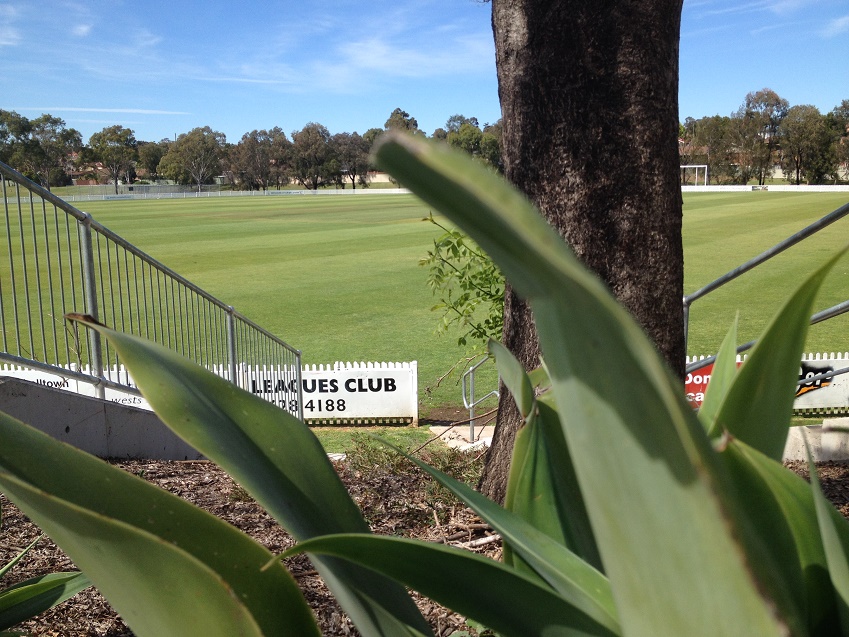 Population boom on the way: planning starts now for new sport facilities