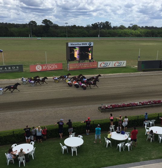 Plenty of reasons there's a buzz around Club Menangle