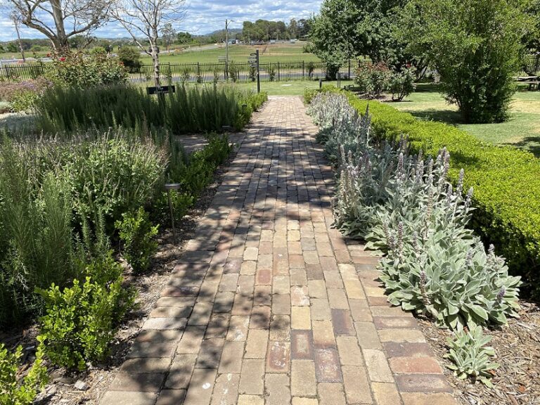 Menangle Country Club: good food and garden in full bloom