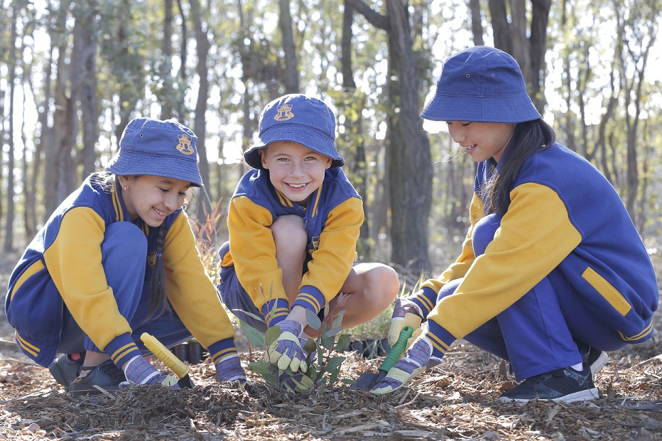 Bardia Public students dig in for National Tree Day
