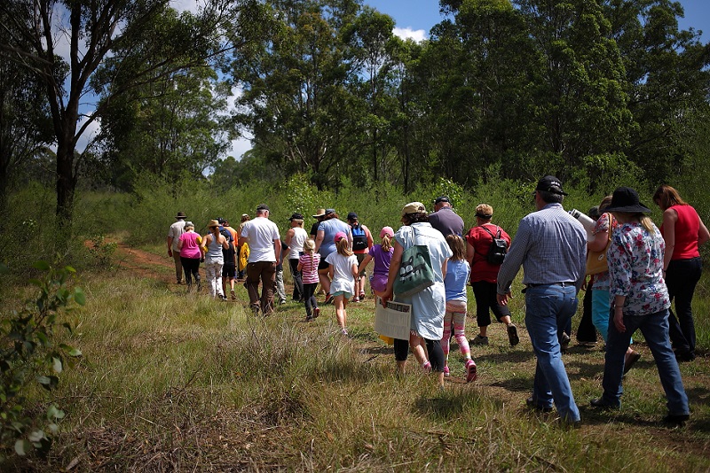 Harrington Forest Frolic: wildlife adventure in our own backyard
