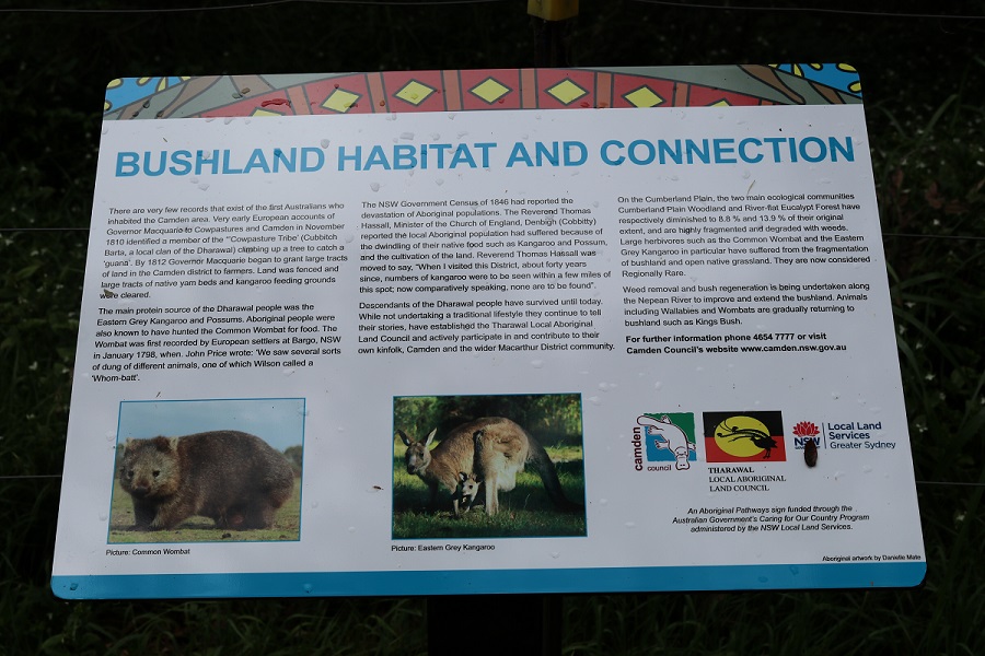 Bush signs boost understanding of Aboriginal culture