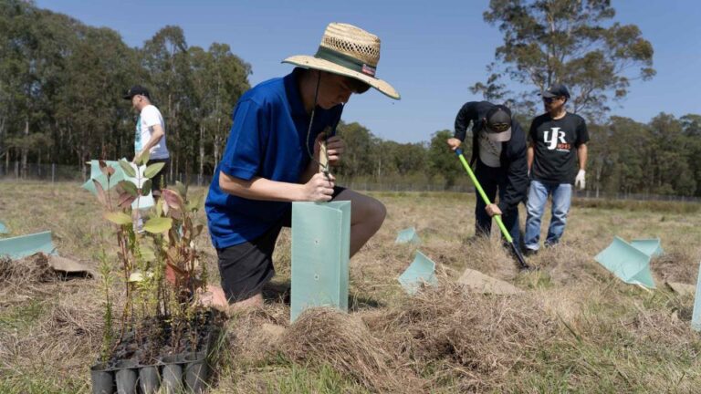 Lasting legacy: planting trees around new airport