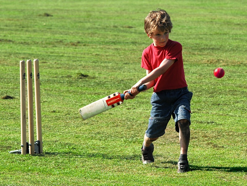 Big bash cricket fun comes to Denham Court