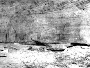 Cultural treasure: Bull cave finally added to state heritage register