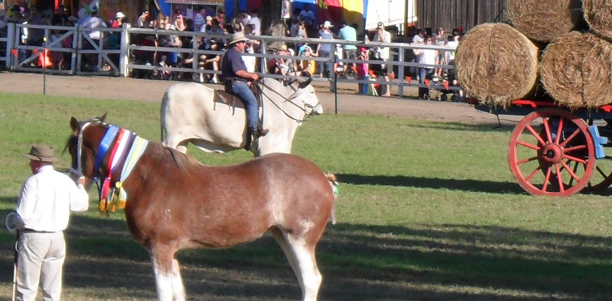 It's on with the (Camden) Show this Friday and Saturday