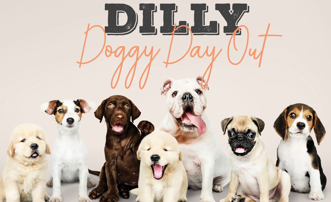 Dilly Doggy Day Out returns this Sunday at Picton Sportsground