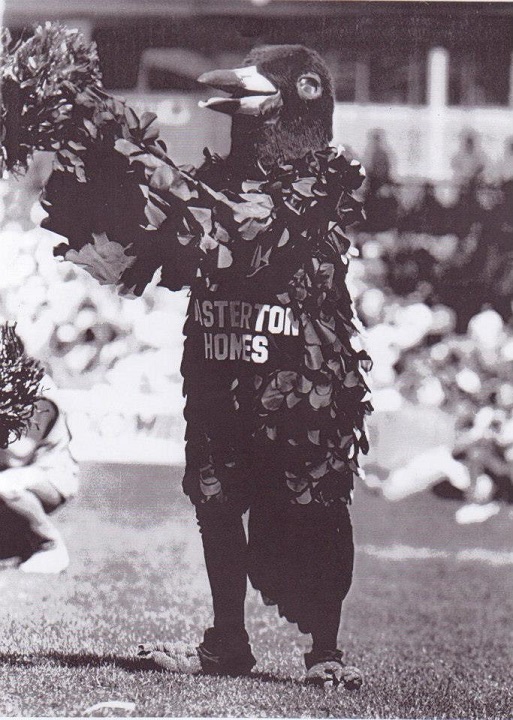 Mark the Magpie was one smart bird