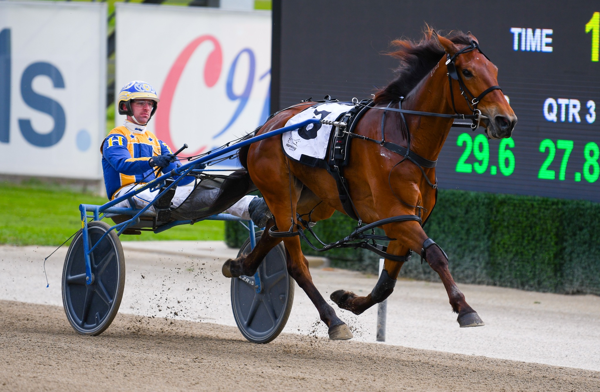 Generous new ally for Club Menangle prostate cancer campaign