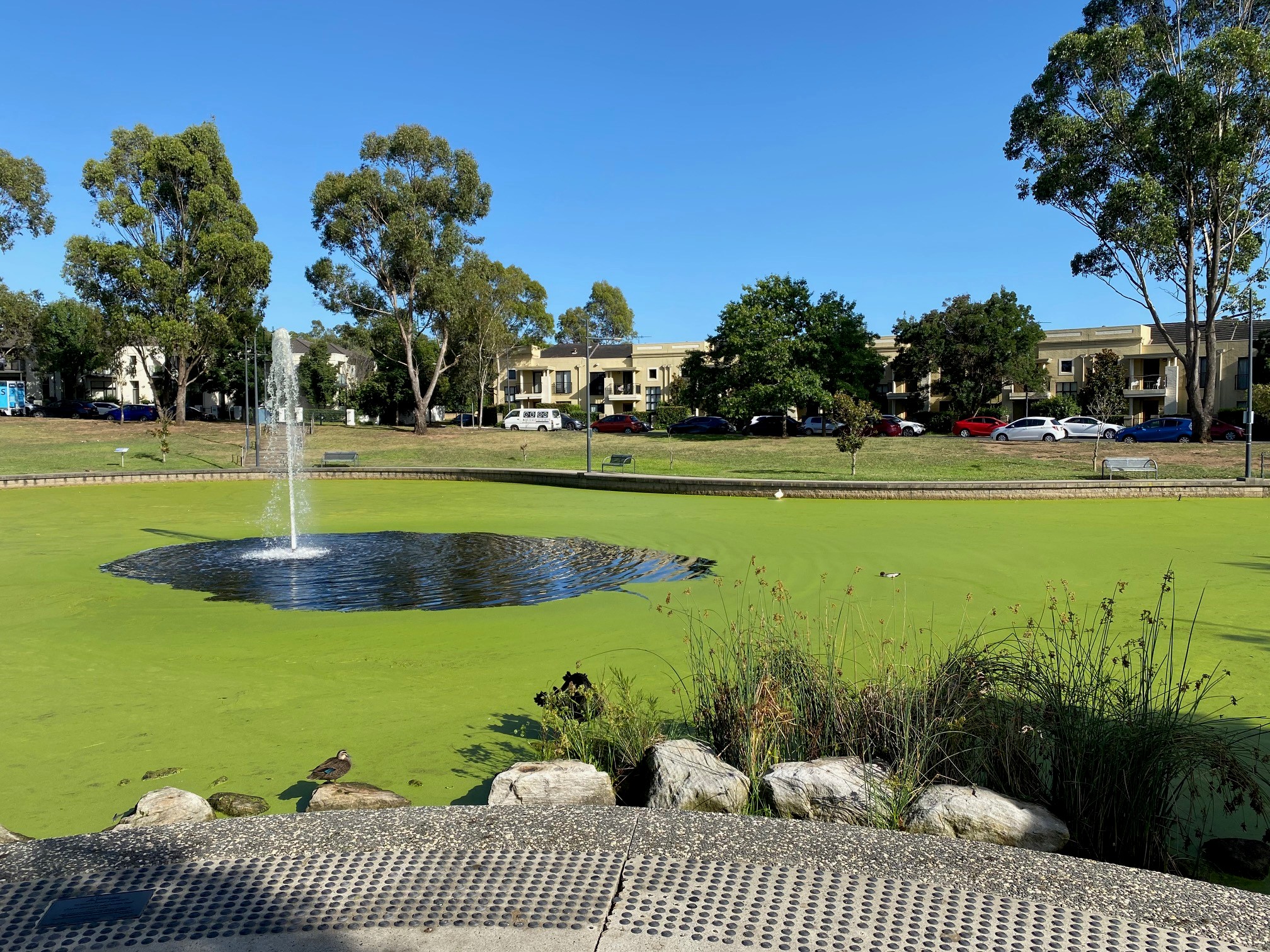 Campbelltown Council mowers are out and about once again