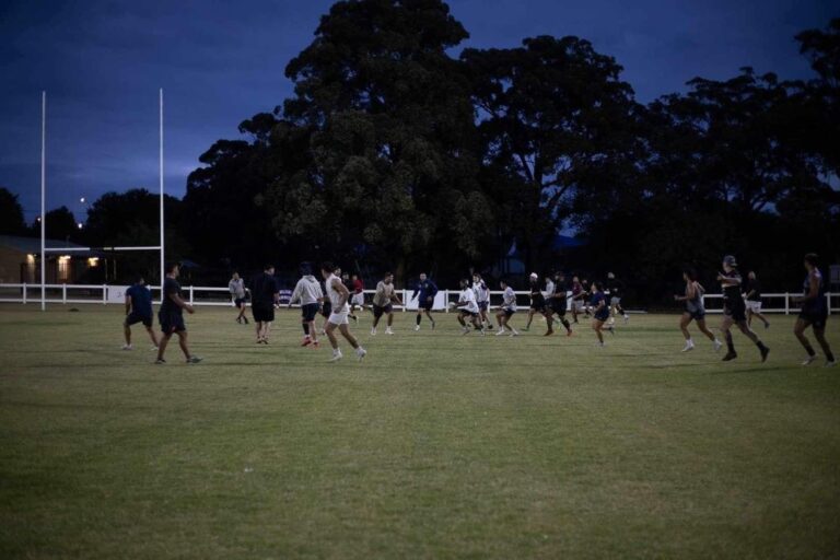 Social Summer touch competition attracts NRL and rugby stars